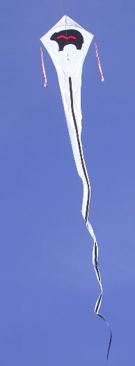 Home Page [www.zianet.com]