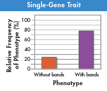 Single Gene Trait