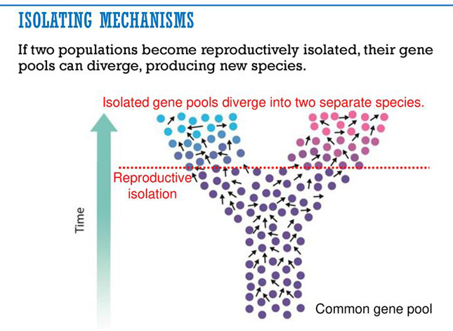 Reproductive Isolation Mechanisms