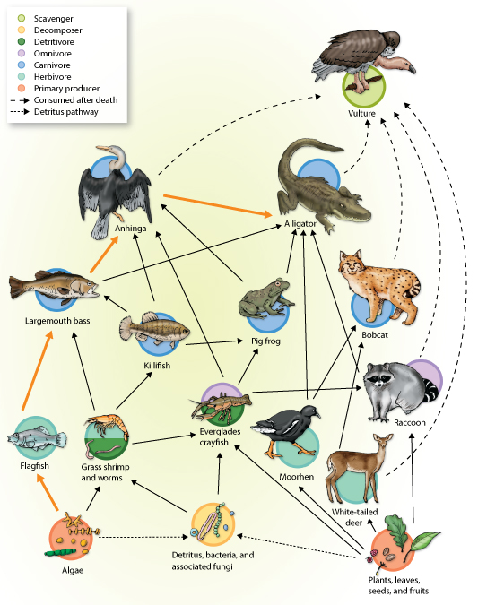 Biology Unit Two Ecology Interactions And Relationships