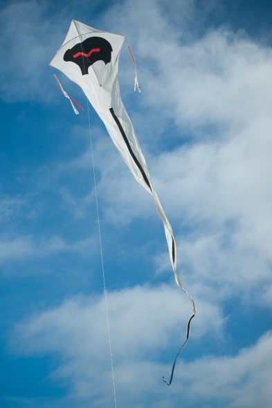 Home Page [www.zianet.com]